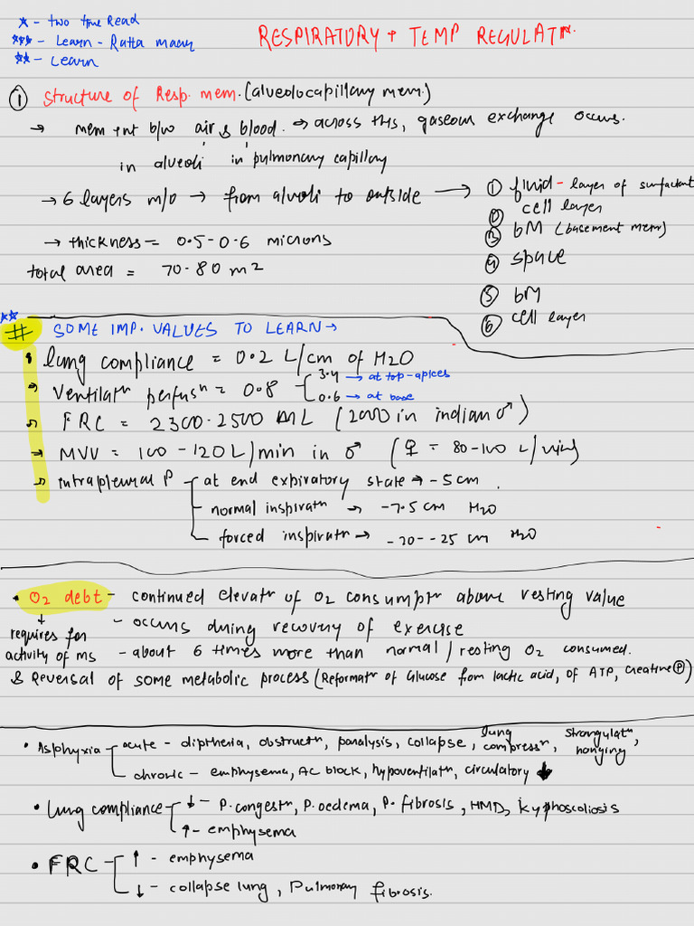 PHYSIO_RESPIRATORY SYSTEM RS_240903_213704 | PDF