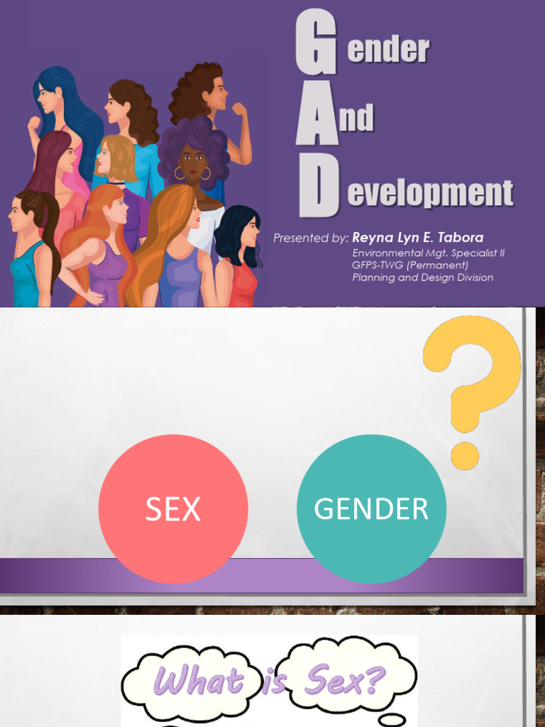 Reyn GAD Compre Training 2024 | PDF | Gender Equality | Gender Studies