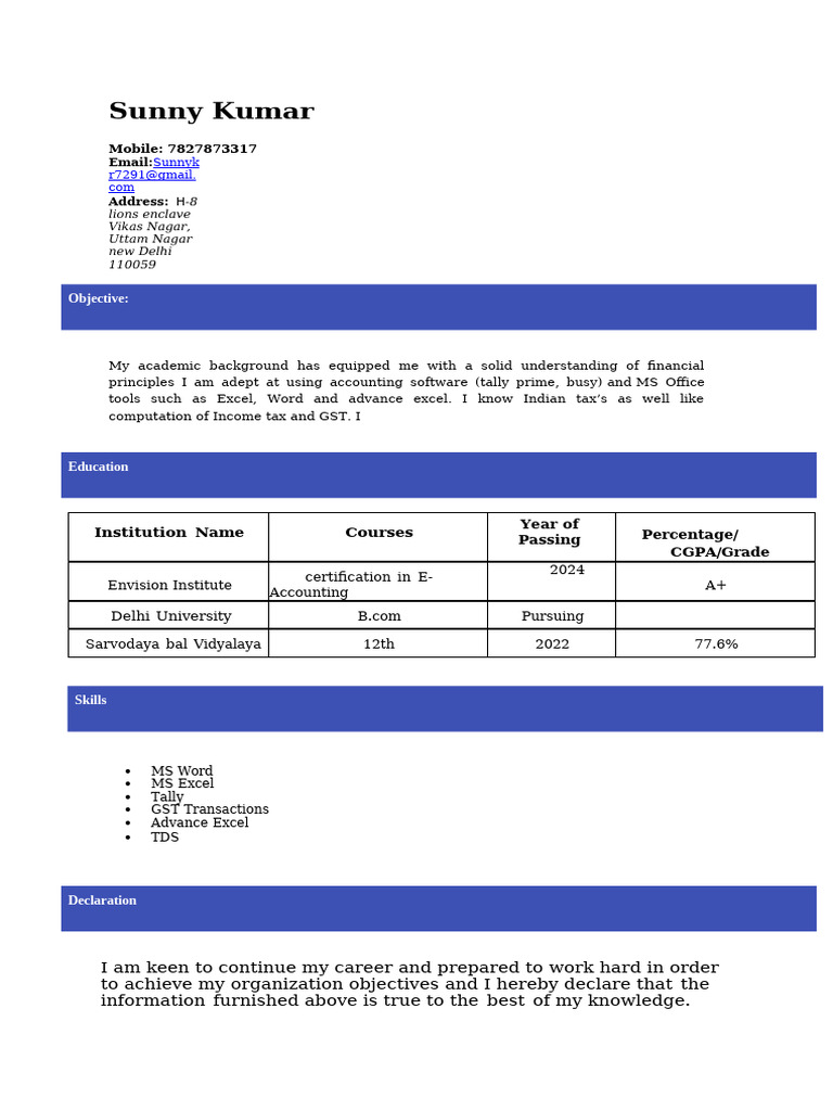 Sunny Kumar RESUME 2024 | PDF