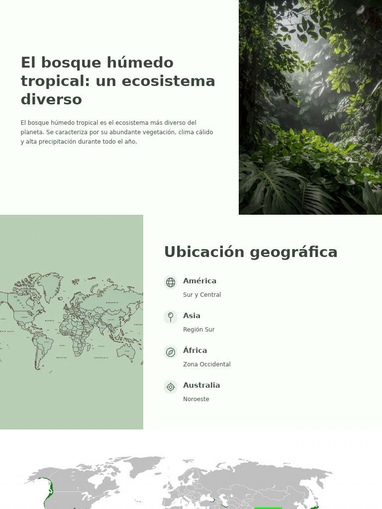 Bosque Tropical | PDF