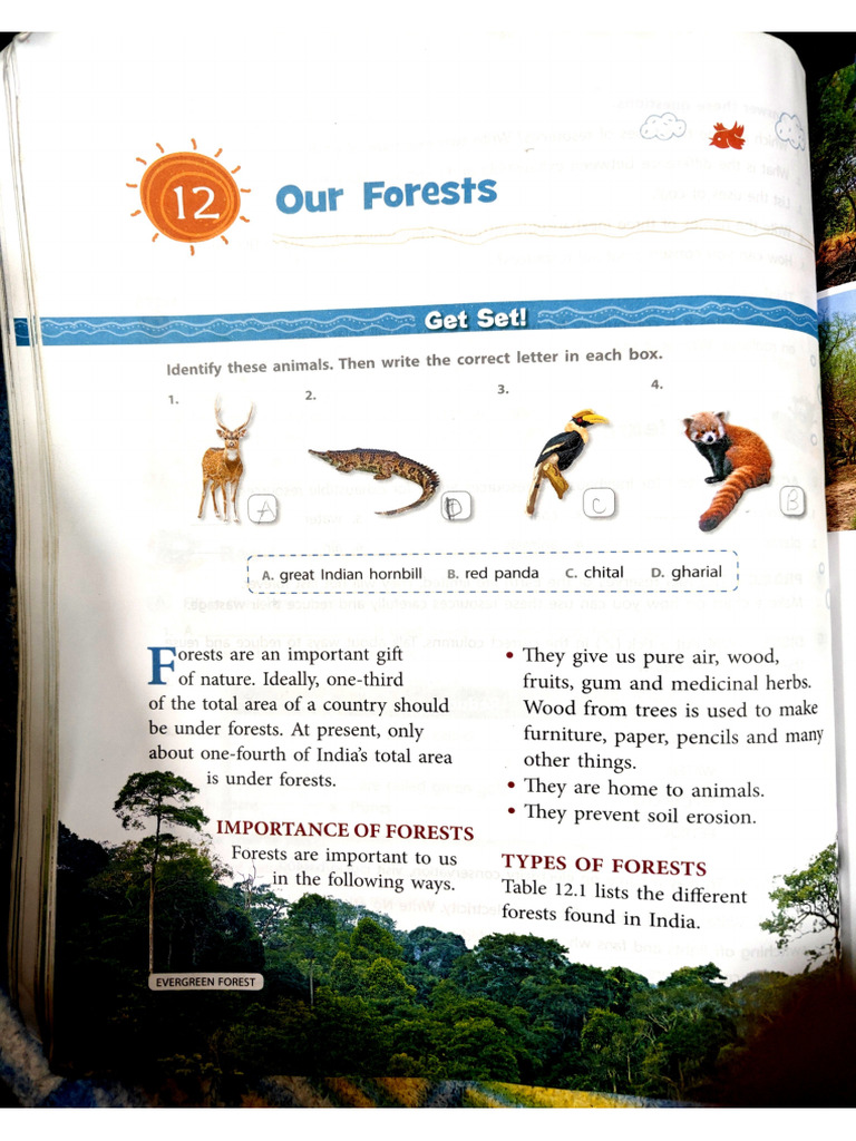 SST 8 and 12 & 18 Chepter | PDF