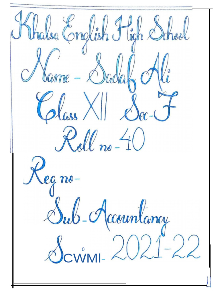 Accts Project by Sadaf Ali, 12F | PDF