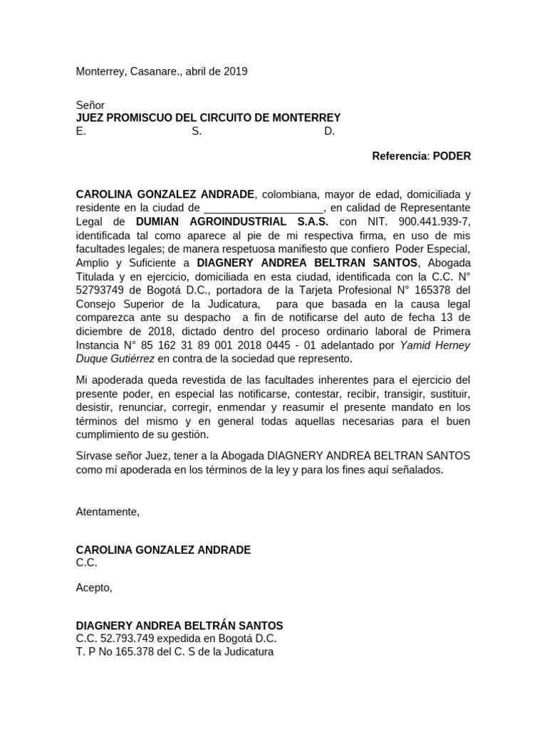 Poder para Notificacion Auto 13.12.18 | PDF