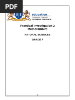 GR 4 NST Project | PDF | String Instruments | Musical Instruments