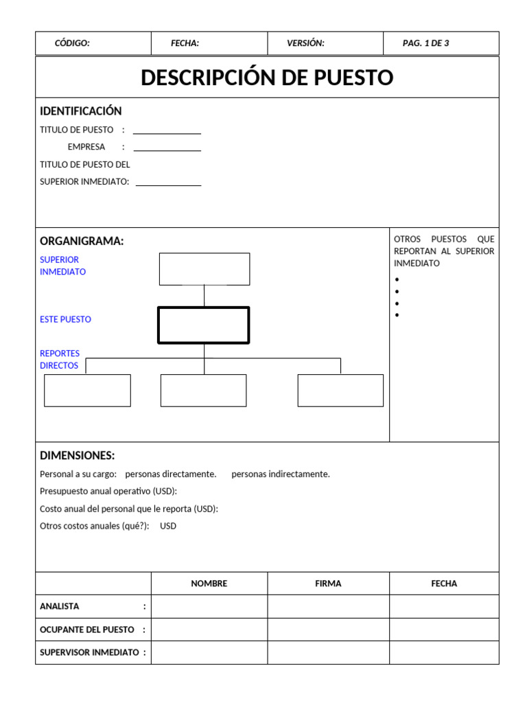 DESCRIPCIÓN DE PUESTOS - FORMATO | PDF