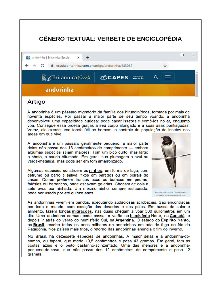 GÊNERO TEXTUAL Verbete | PDF