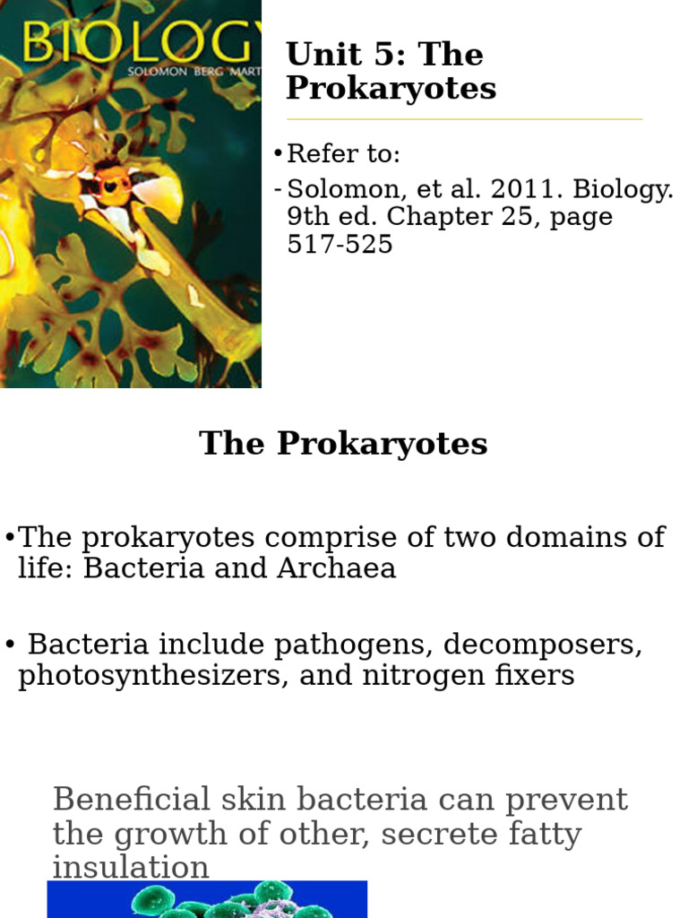 Unit 5 The Prokaryotes (Bacteria Archeae) | PDF | Cell (Biology) | Bacteria