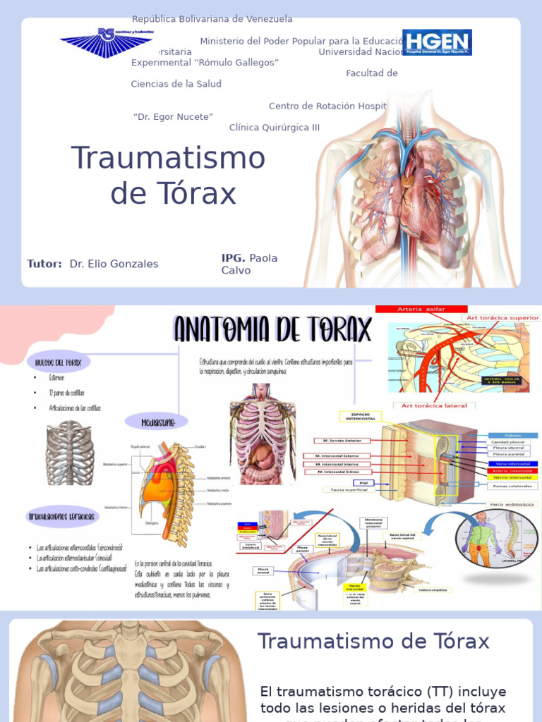 Traumatismo de Tórax: Causas y Manejo | PDF | Tórax | Especialidades ...