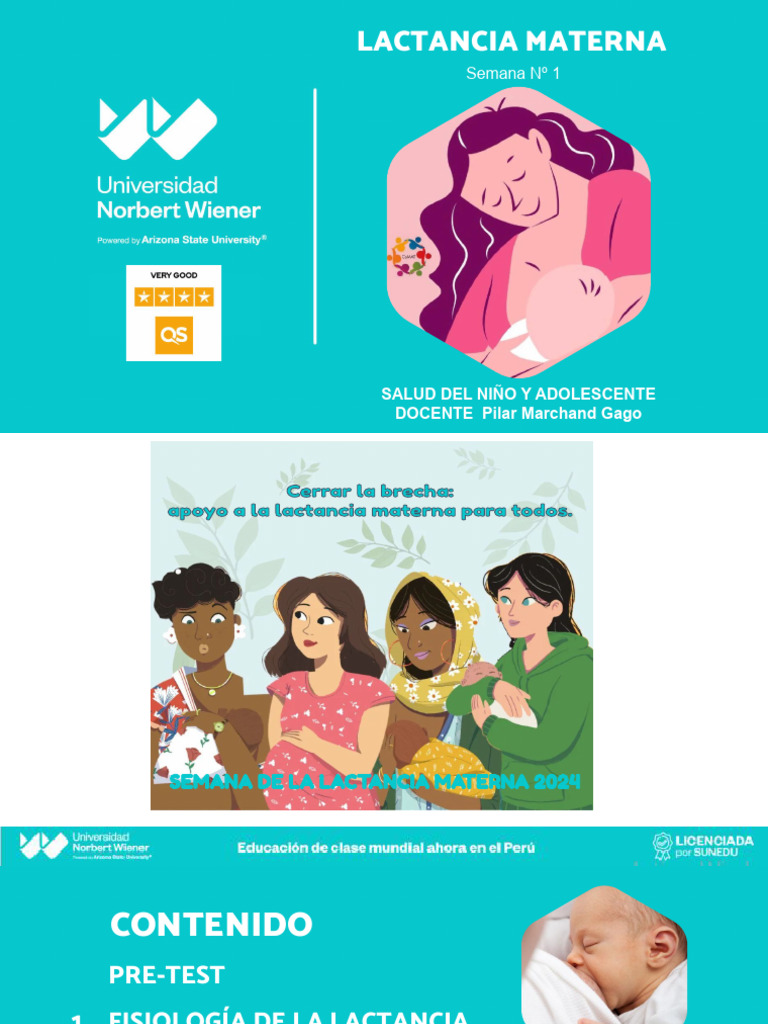 Clase 1-B SNA - Lactancia Materna | PDF | Lactancia | Pecho