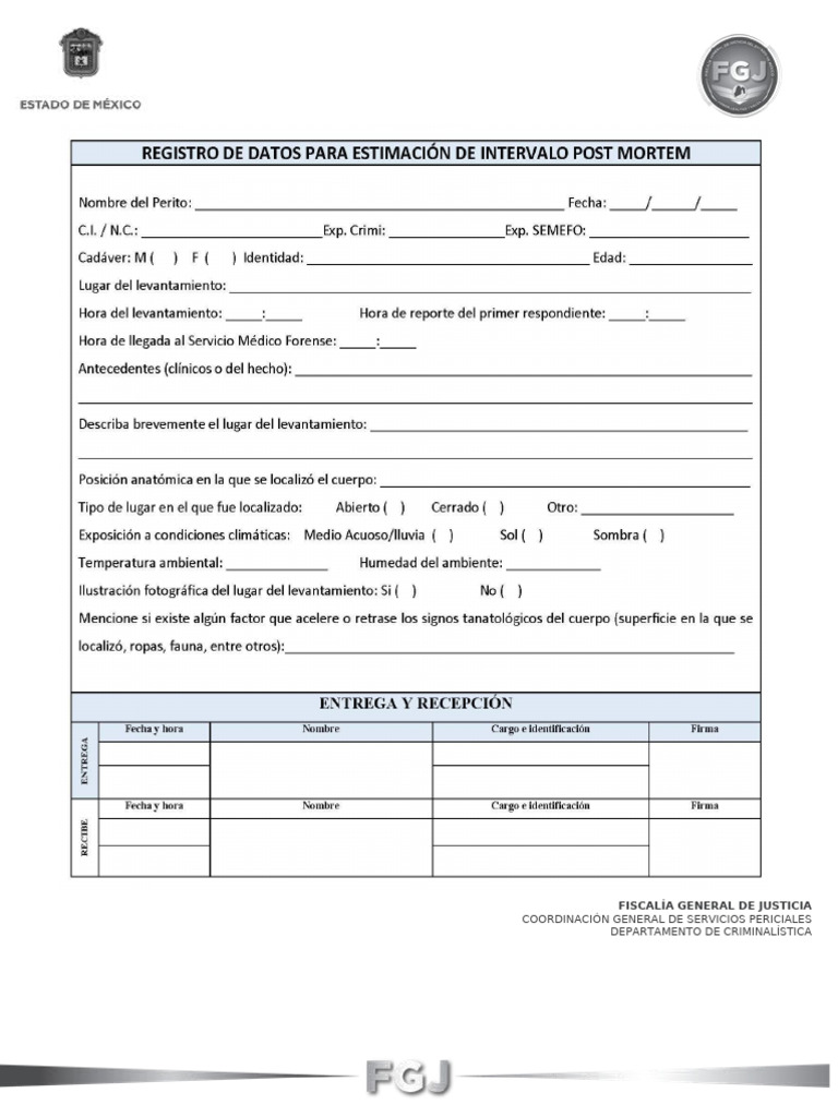 Formato Intervalo Post-Mortem | PDF