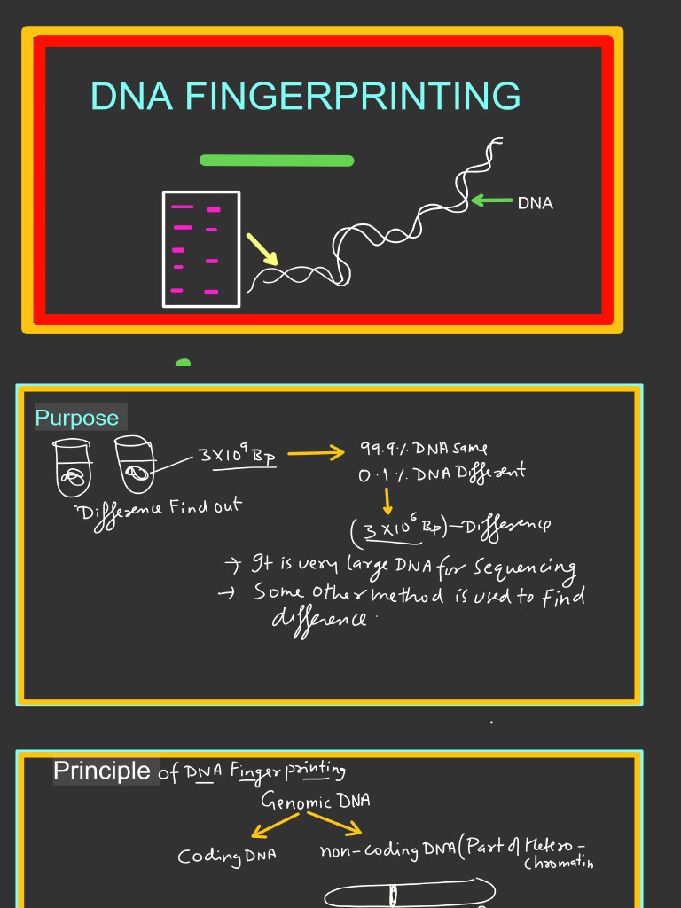 Dna Fingerprinting | PDF