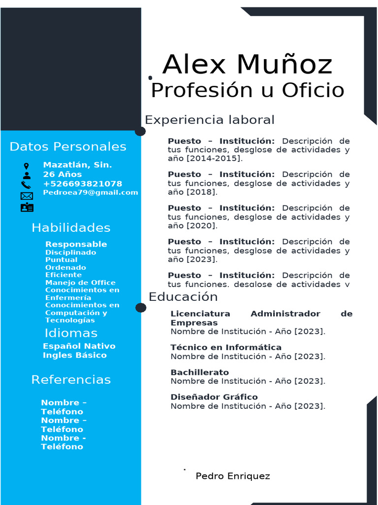 Modelo de CV Profesional | PDF