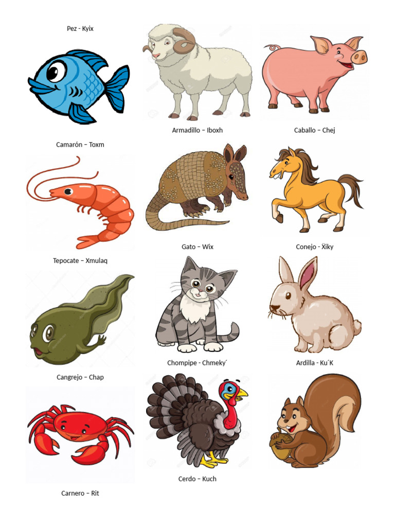 Animales en Mam | PDF
