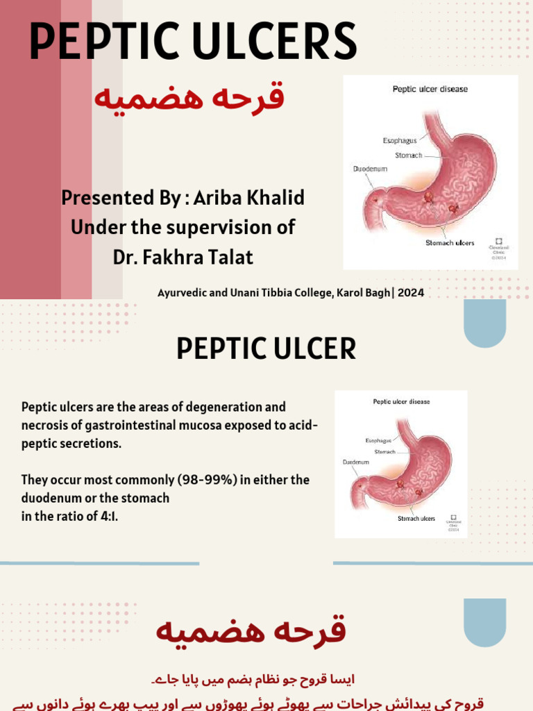 Peptic Ulcers | PDF | Stomach | Digestive Diseases