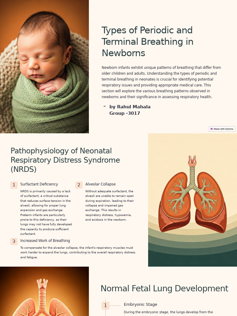 Types of Periodic and Terminal Breathing in Newborns | PDF | Lung ...