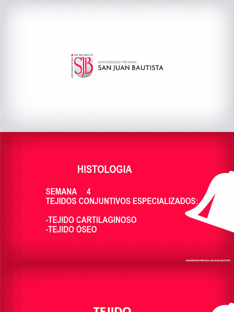 Histo Practica 4-Cartilago-Óseo | PDF | Cartílago | Hueso