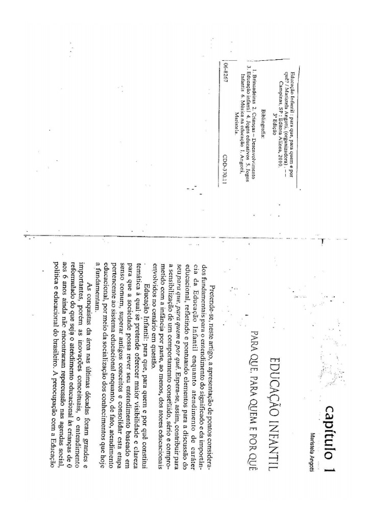 TEXTO 01 - EI para Que para Quem e Por Que - ANGOTI - 2010 | PDF