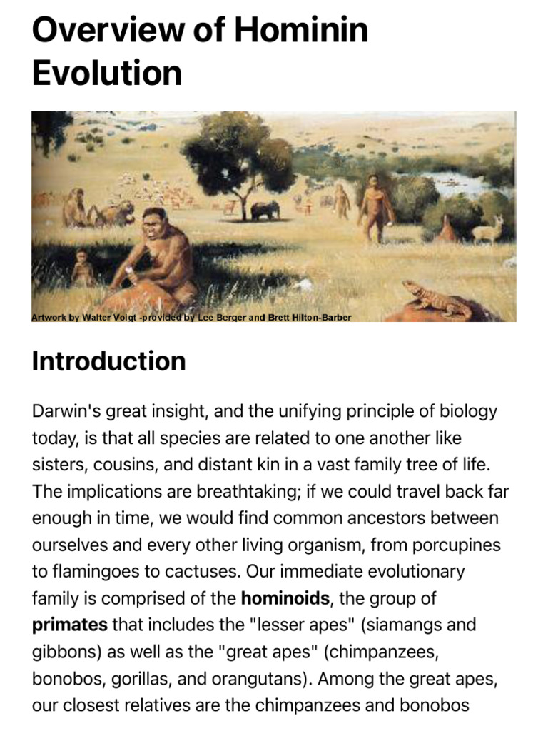 Overview of Hominin Evolution - Learn Science at Scitable | PDF ...