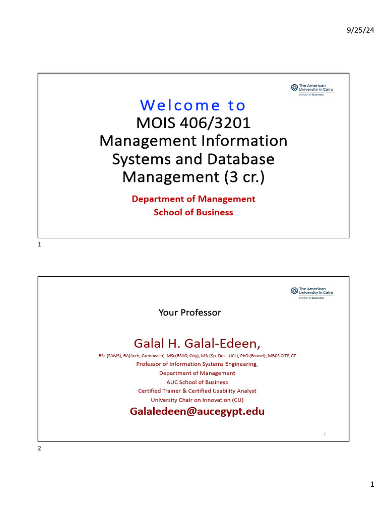 Management Information Systems Course Overview | PDF | Byte | Data ...
