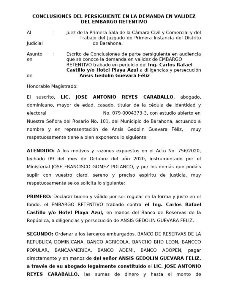 Conclusiones Del Persiguiente Den Demnada en Validez de Embargo ...