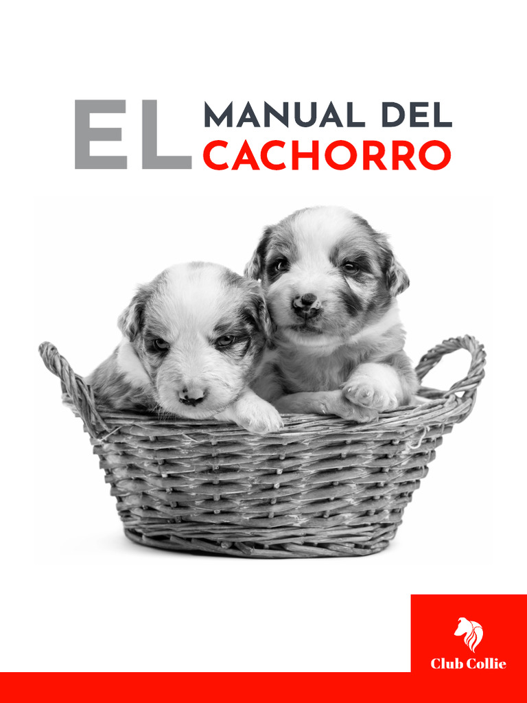 Guía para el Cuidado de Cachorros | PDF