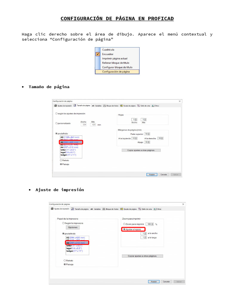 Configuracion Pagina Proficad | PDF