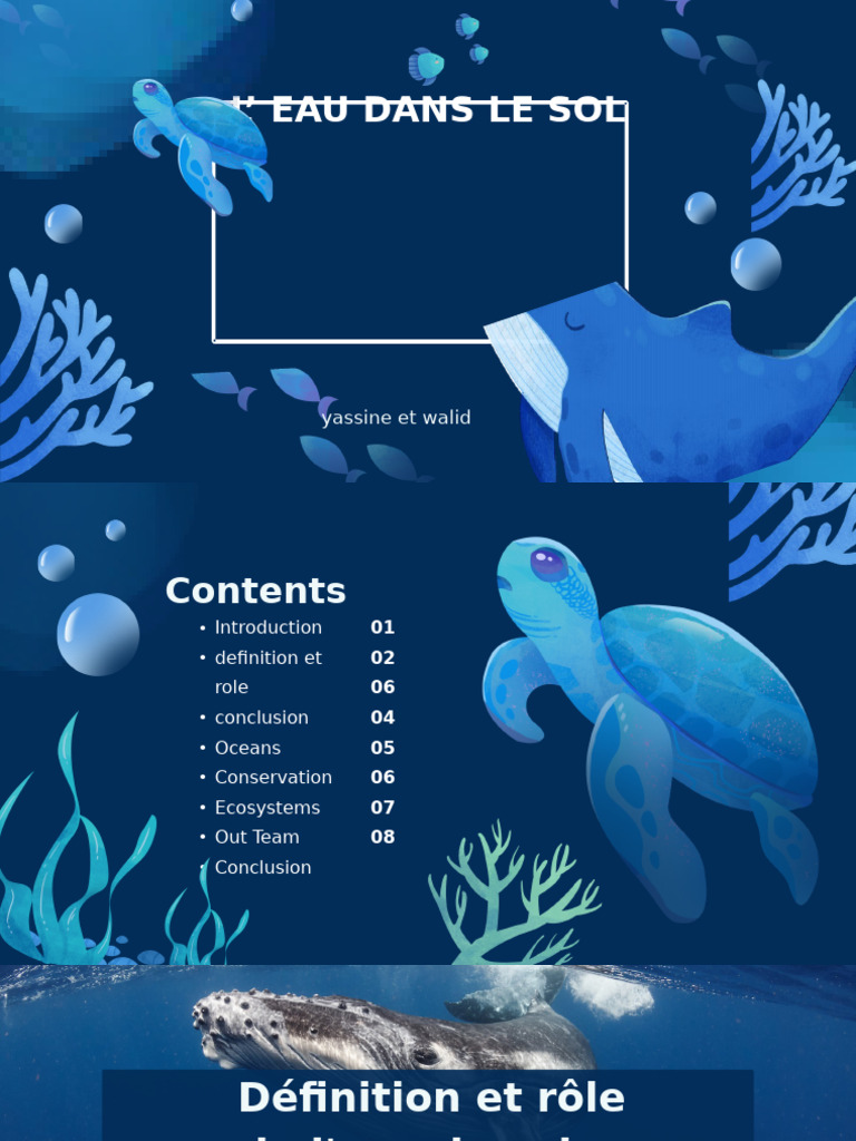 Rôle de l'eau dans les écosystèmes | PDF | Eau | Sol (pédologie)