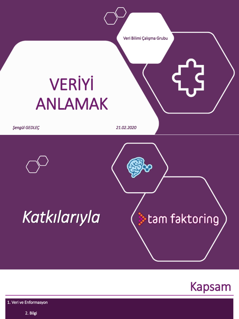 Veri̇yi̇ Anlamak PDF | PDF