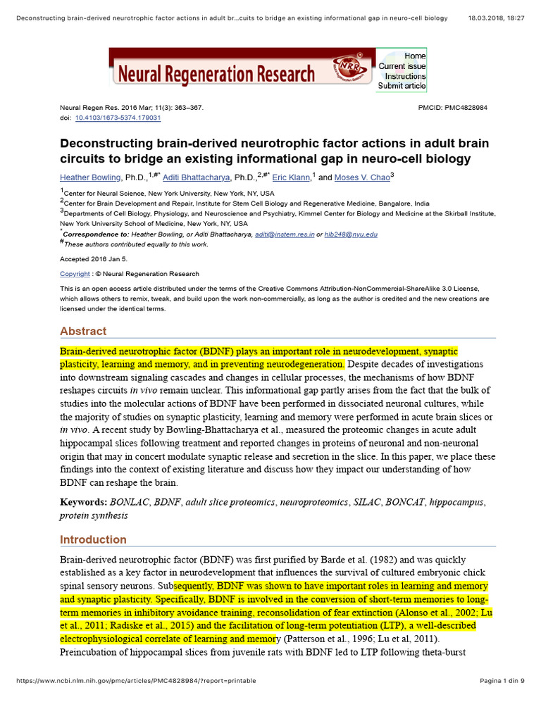 Deconstructing Brain-Derived Neurotrophic Factor Actions in Adult Brain Circuits To Bridge An ...