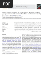 BDEFS-CA Long Form | PDF