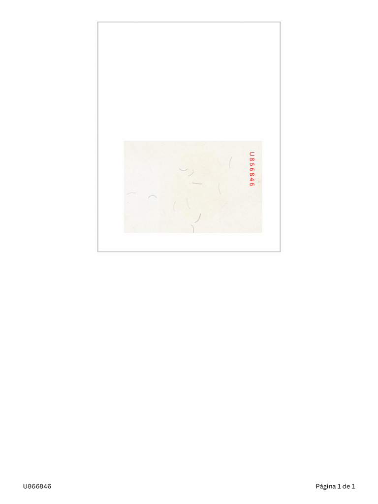 U866846 20250329 140102 0000 | PDF