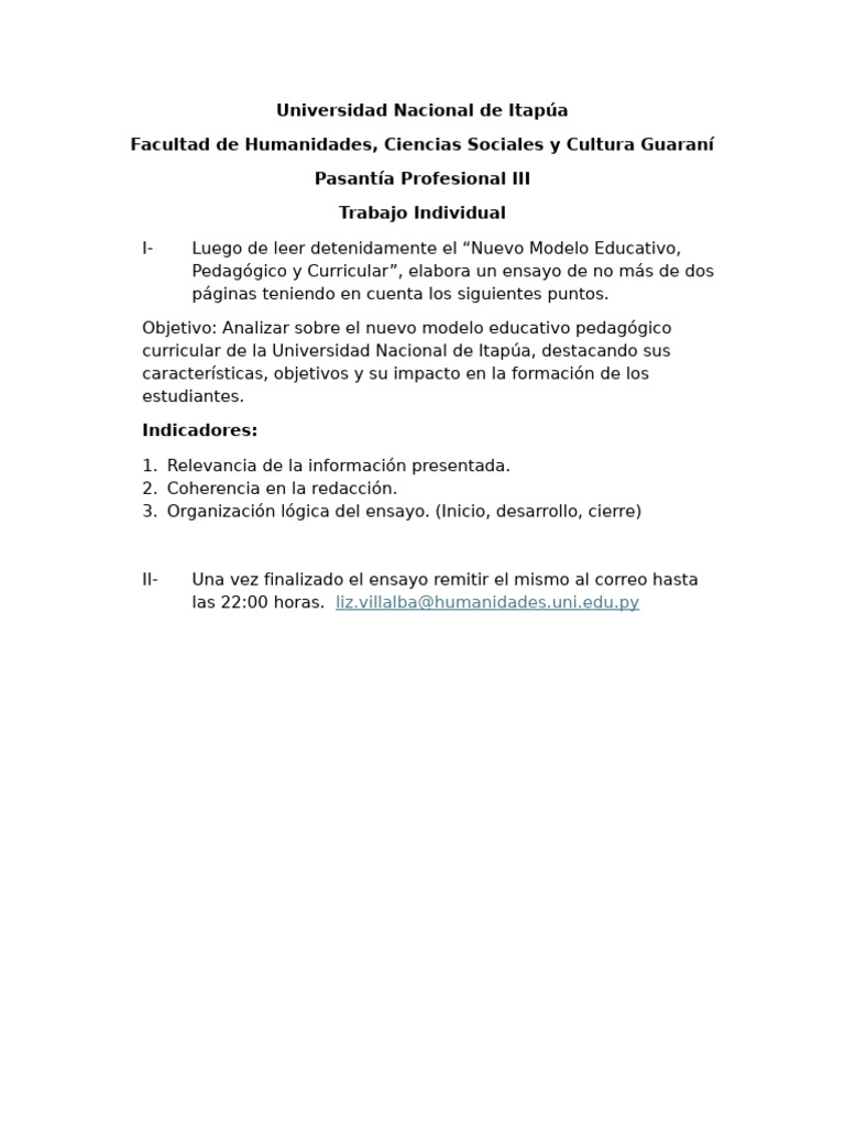 Ensayo - Pasantía Profesional | PDF