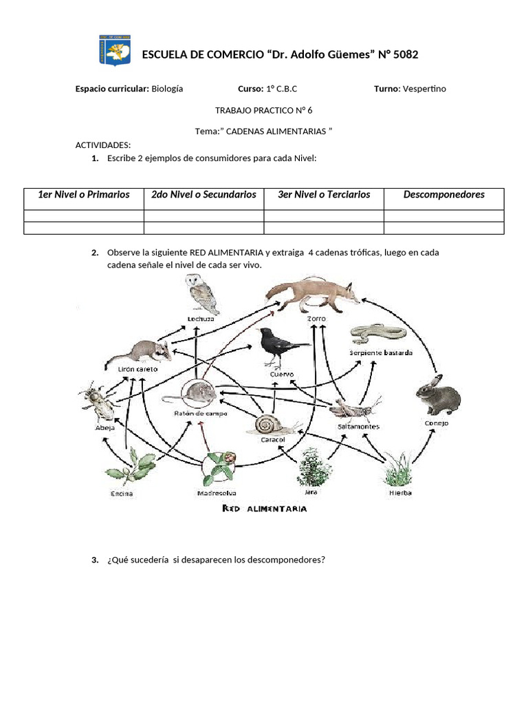 TP #6 - Cadenas y Redes Alimentarias - 3° Trimestre | PDF