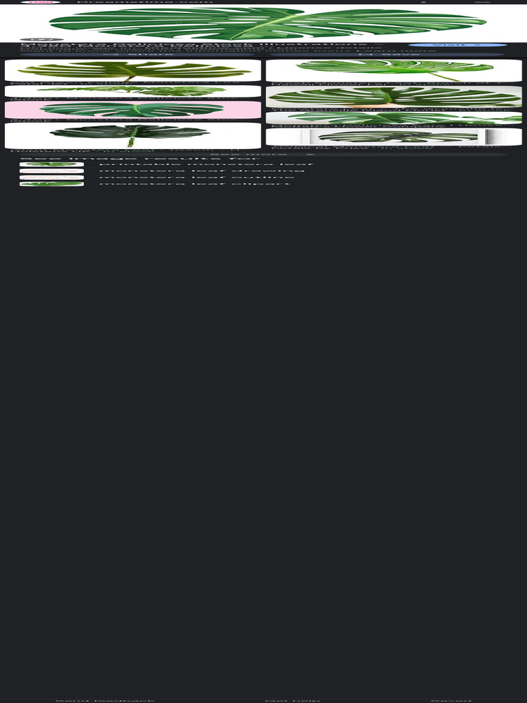 Printable Monstera Leaf Outline | PDF