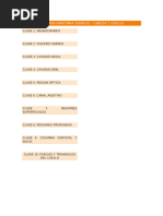 FARINGE y LARINGE - Anatomía II, Veterinaria | PDF | Laringe ...