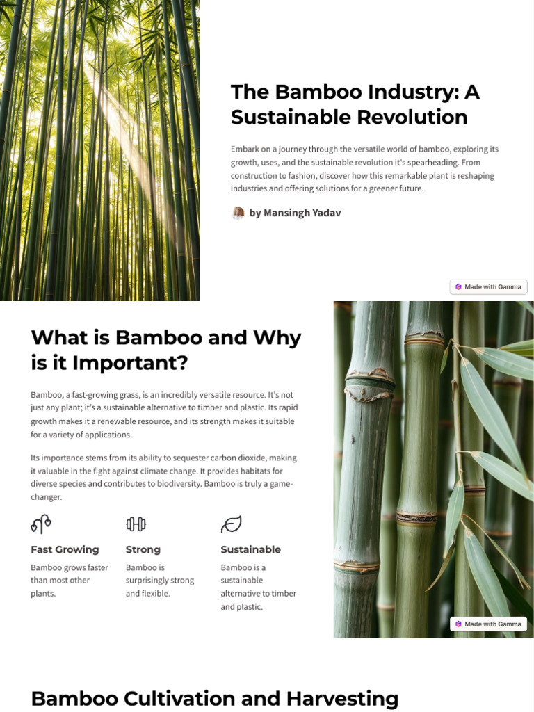 Bamboo: The Future of Sustainability | PDF | Bamboo | Sustainability