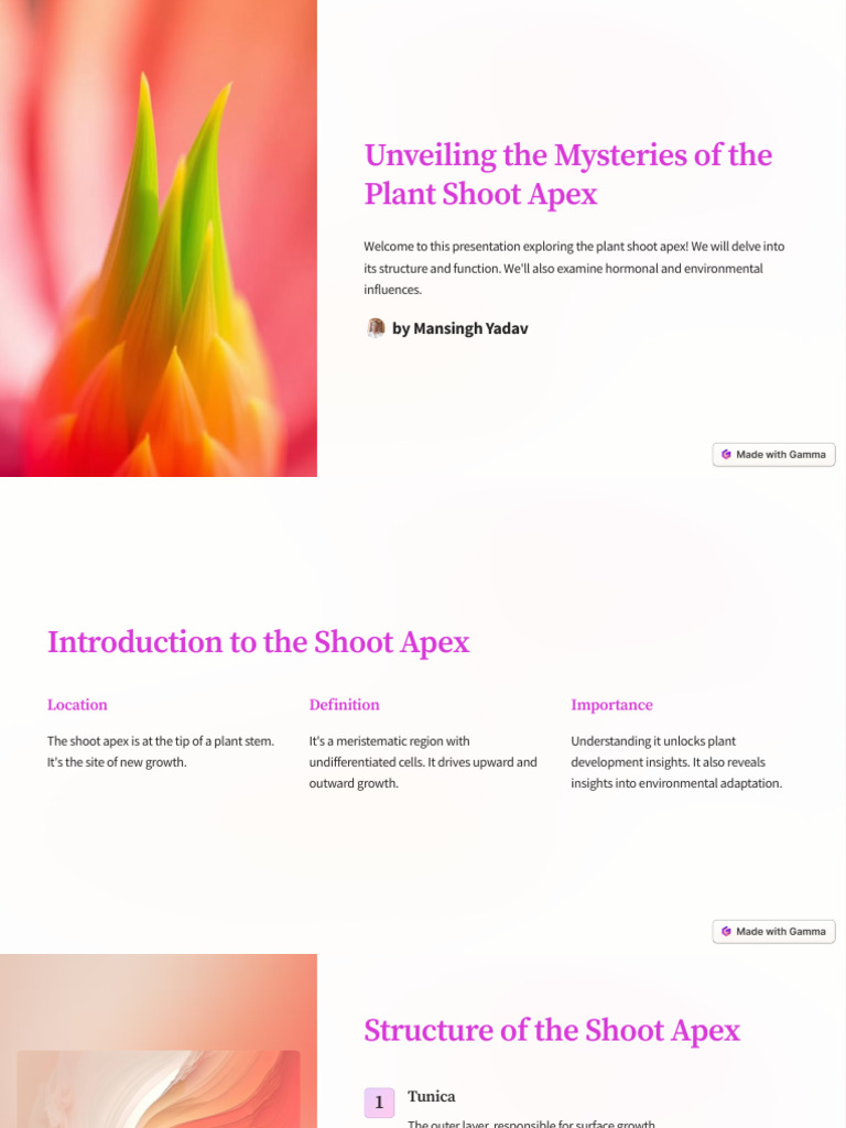 Unveiling The Mysteries of The Plant Shoot Apex | PDF | Botany | Plant ...