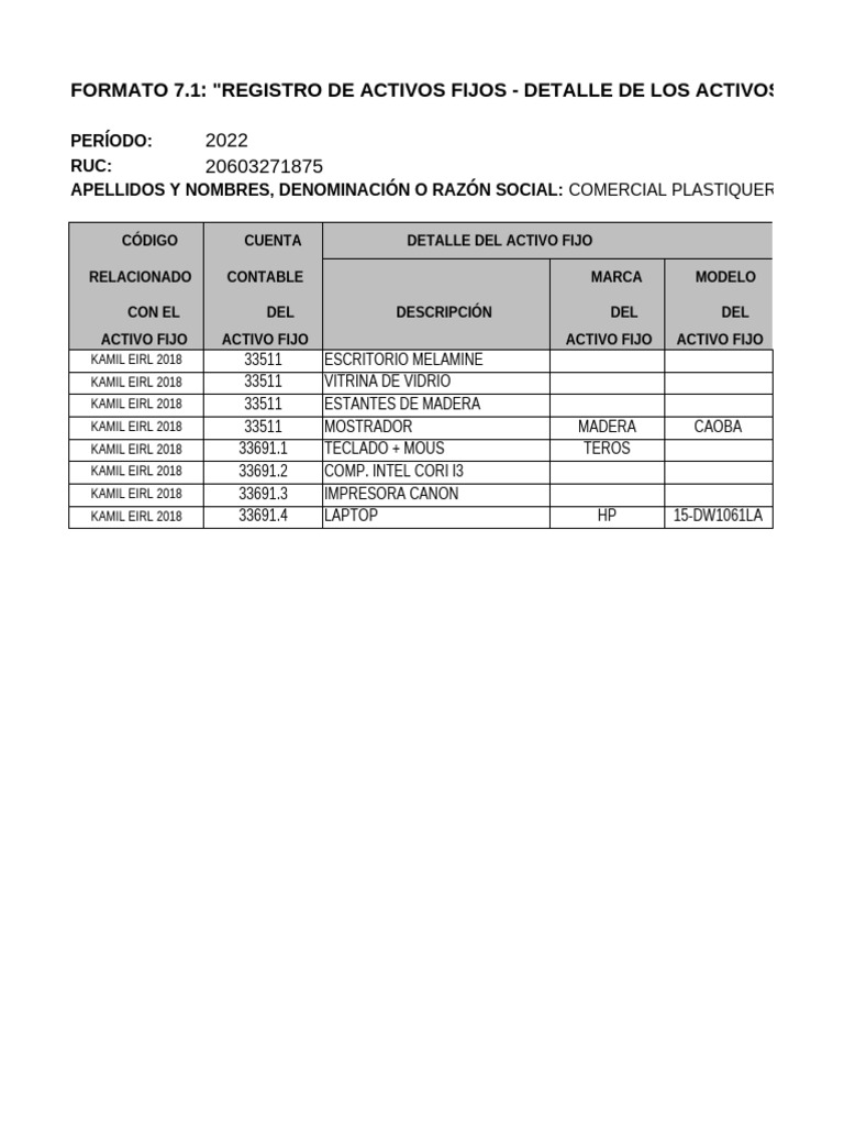 Libro de Activos Fijos Liam 2022 | PDF | Depreciación | Activo fijo