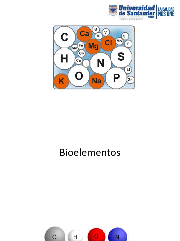Tema 1. Bioelementos | PDF | Organismos | Biomoléculas