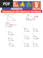 Triángulos Notables Ejercicios Resueltos | PDF