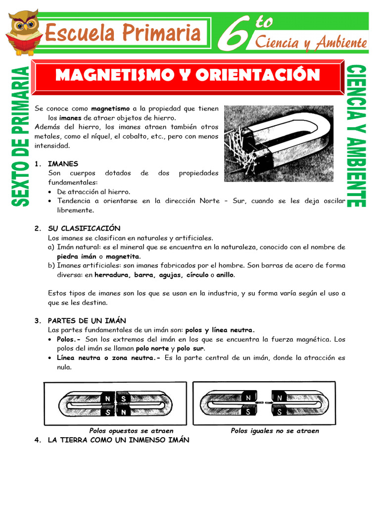 Clasificación y partes de los imanes | PDF | Imán | Magnetismo