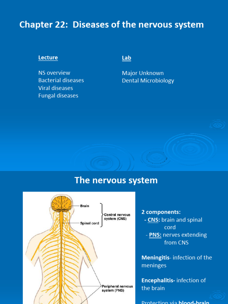 Chapter 22 PPT Spring PDF | PDF | Meningitis | Infection