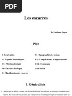 Les Escarres | PDF | Maladies et troubles | Sciences de la santé