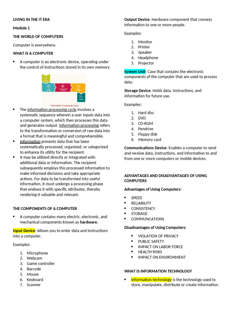 LIVING IN THE IT ERA Prelims | PDF | Banks | Information Technology