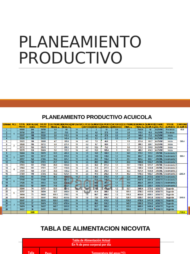 PLANEAMIENTO PRODUCTIVO | PDF