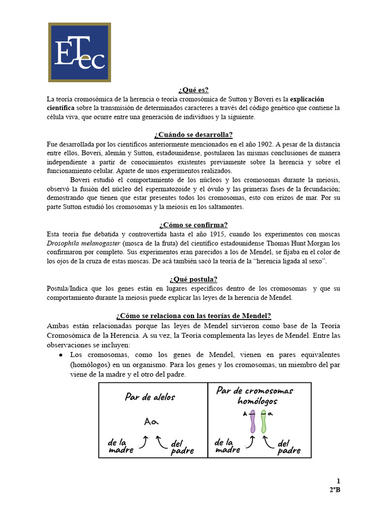 Teoría Cromosómica de la Herencia | PDF | Gene | Alelo