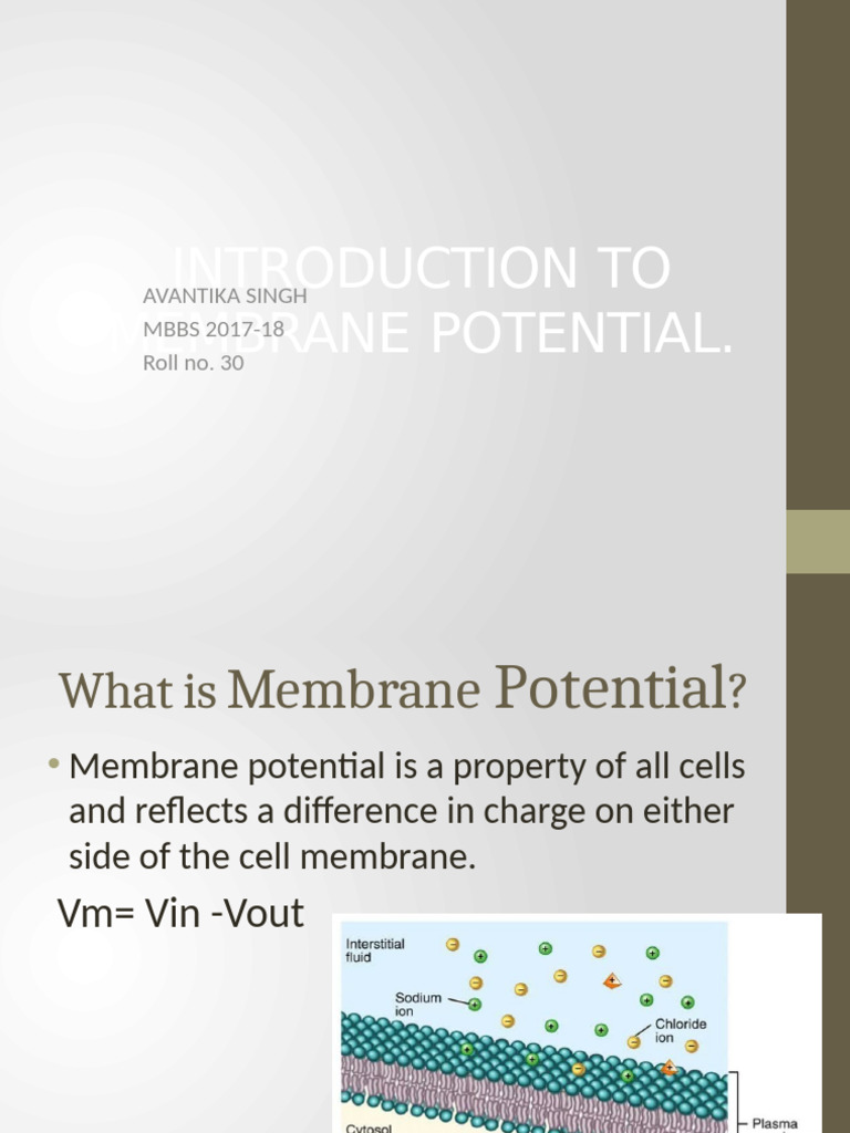 Action Potential | PDF | Membrane Potential | Action Potential