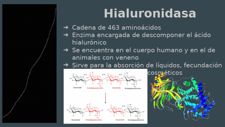 Hialuronidasa: Funciones y Estructura | PDF