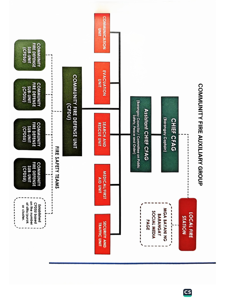 CFAG Organizational Structure | PDF