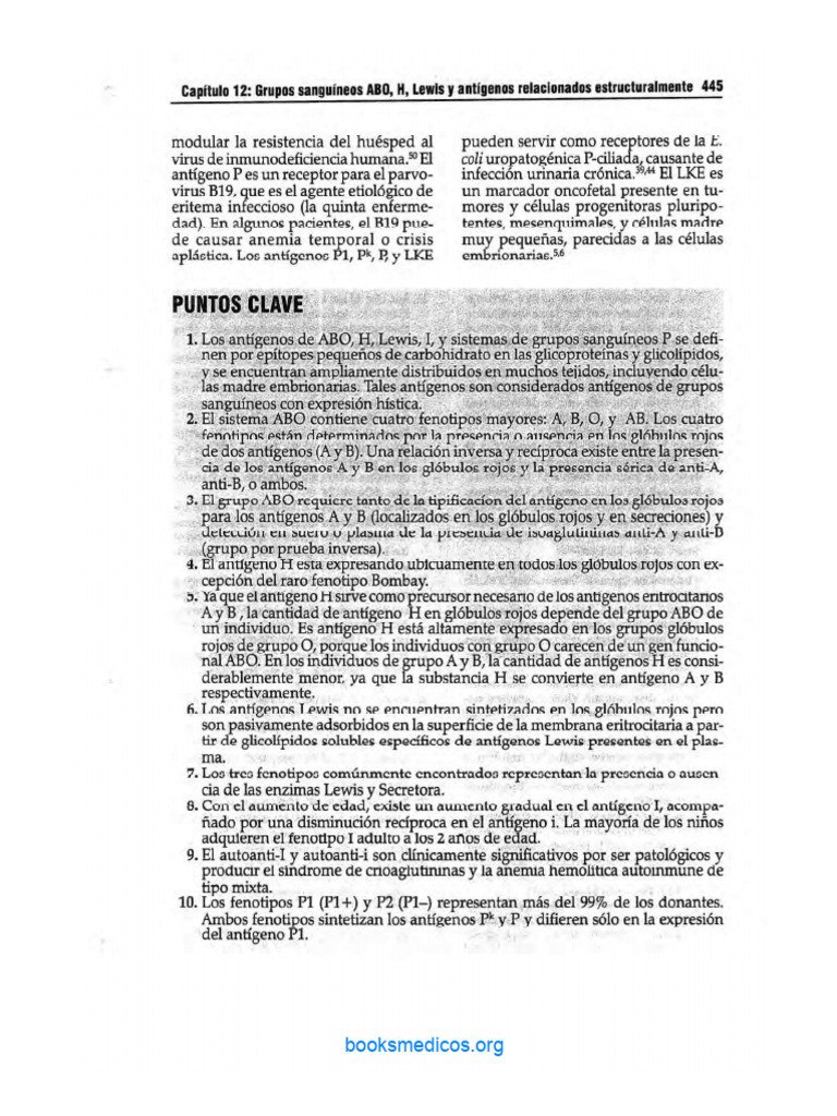 Abo Pi y Lewis | PDF